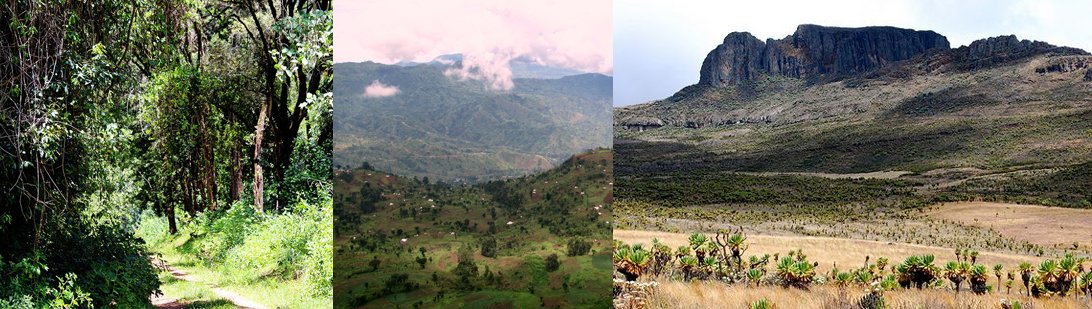 Mount Elgon National Park
